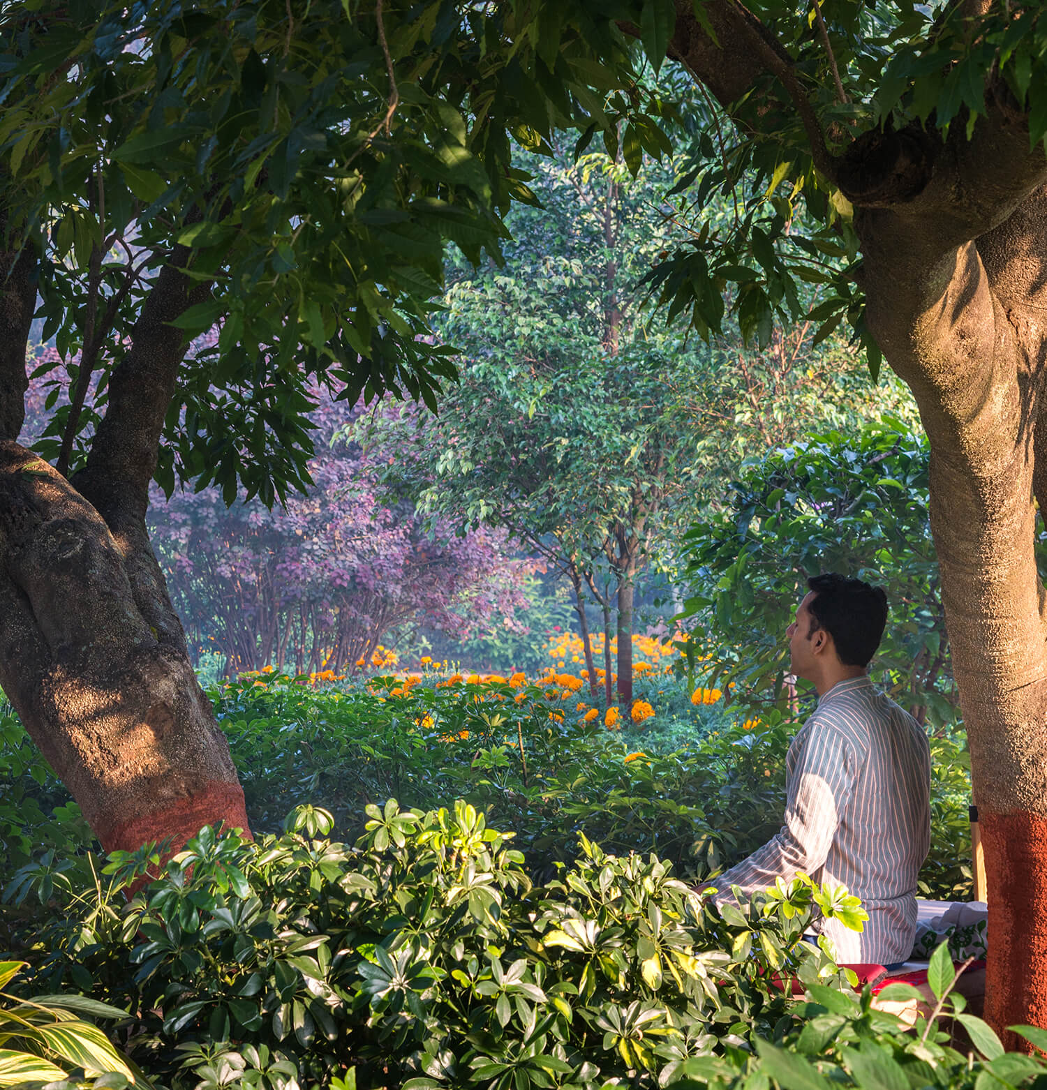Spiritual Retreats of Yogoda Satsanga Society