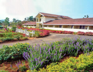 The YSS Line of Gurus